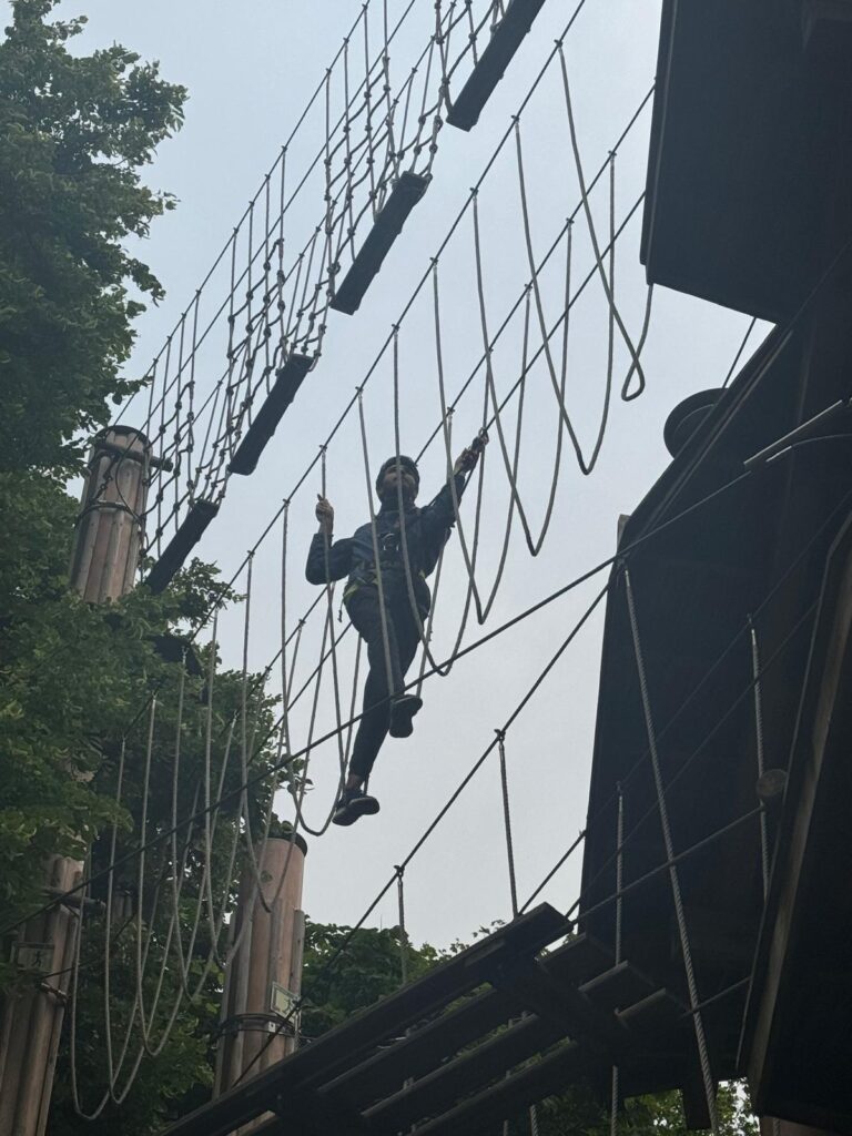 Swinging through the trees | DLD College London