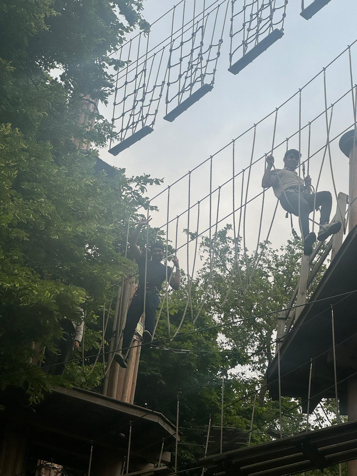 Swinging through the trees | DLD College London