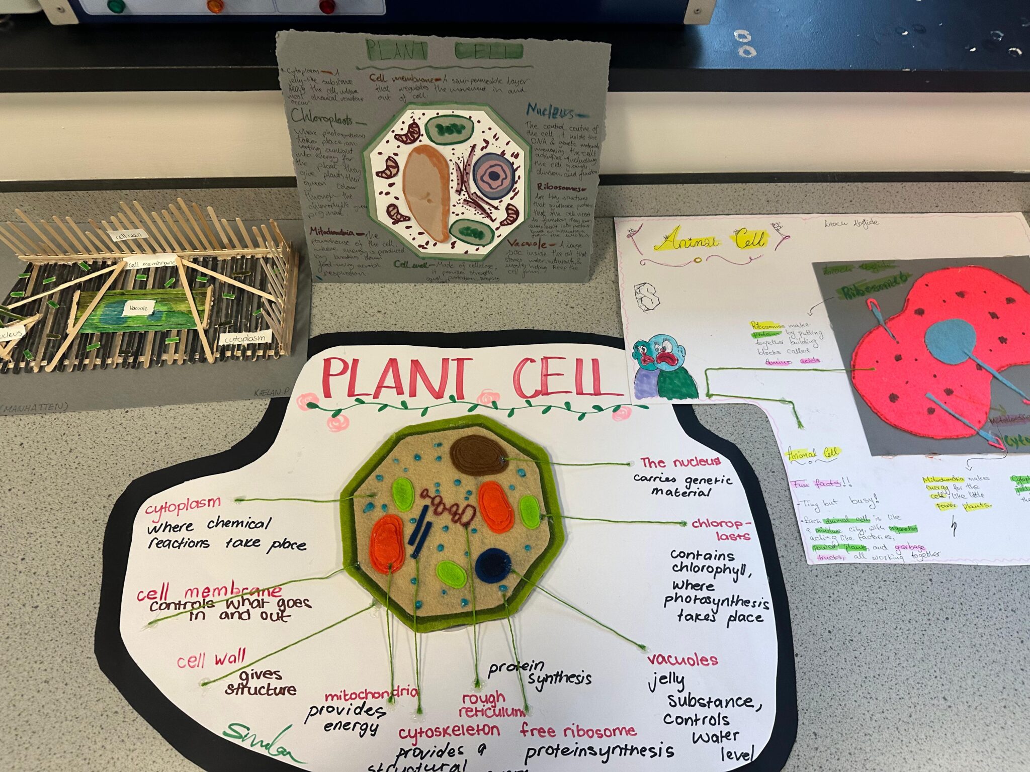 Year 9 Cross-Curricular Project | DLD College London